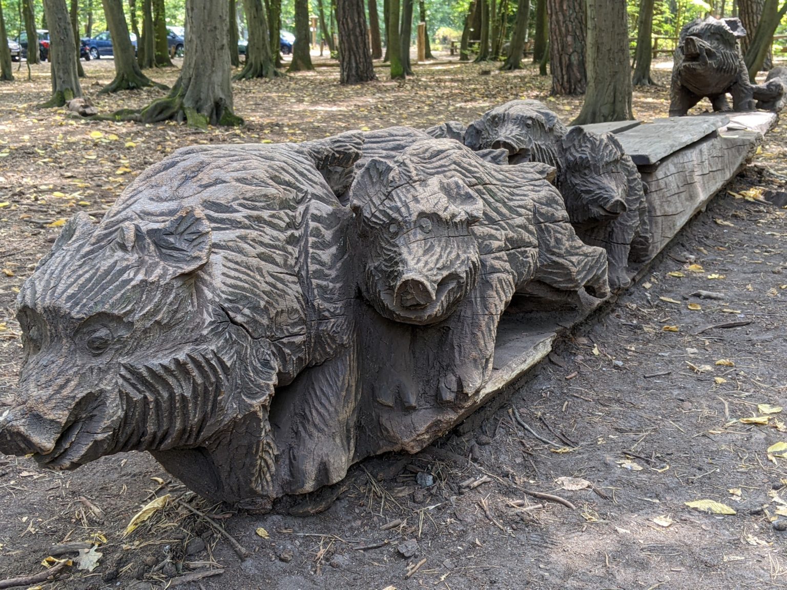 Spandauer Forst: Von Baumlehrpfad bis Badespaß
