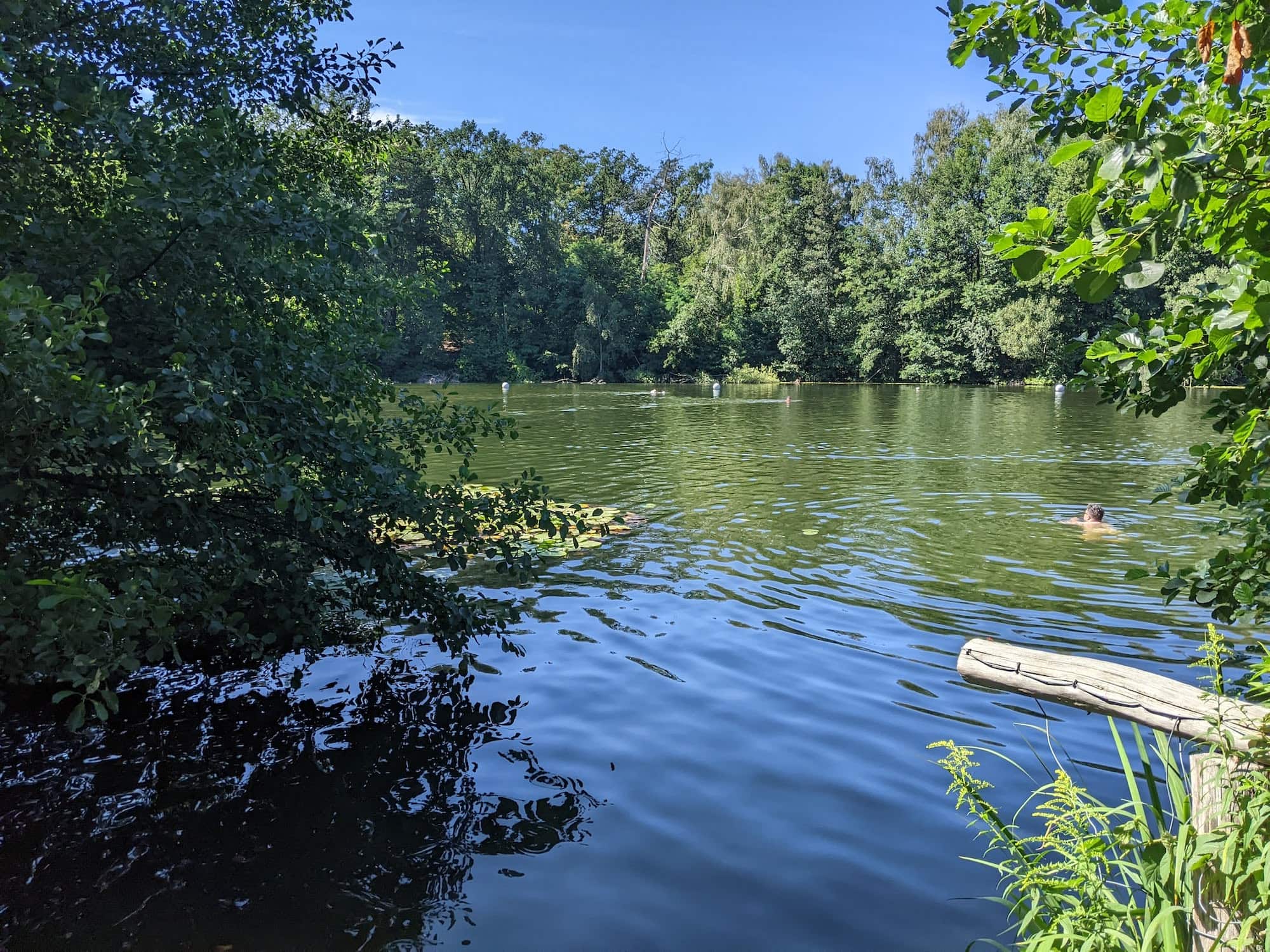 Grunewald mit Kindern: toben, baden, lernen